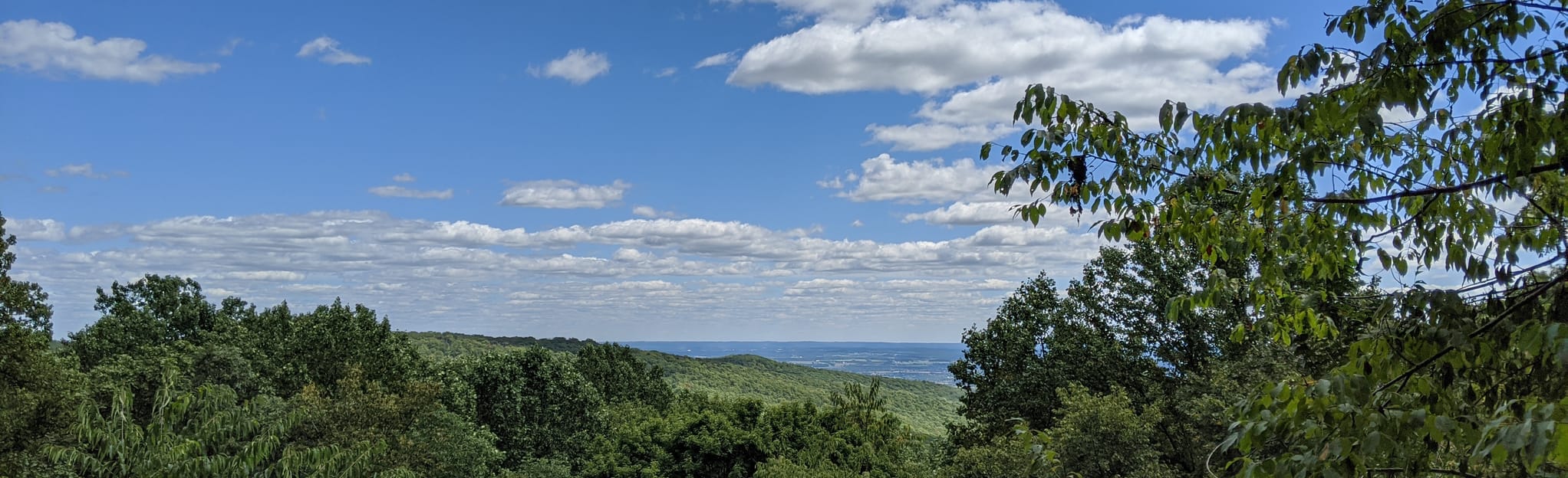 Hog Rock Nature Trail, Maryland - 256 Reviews, Map | AllTrails