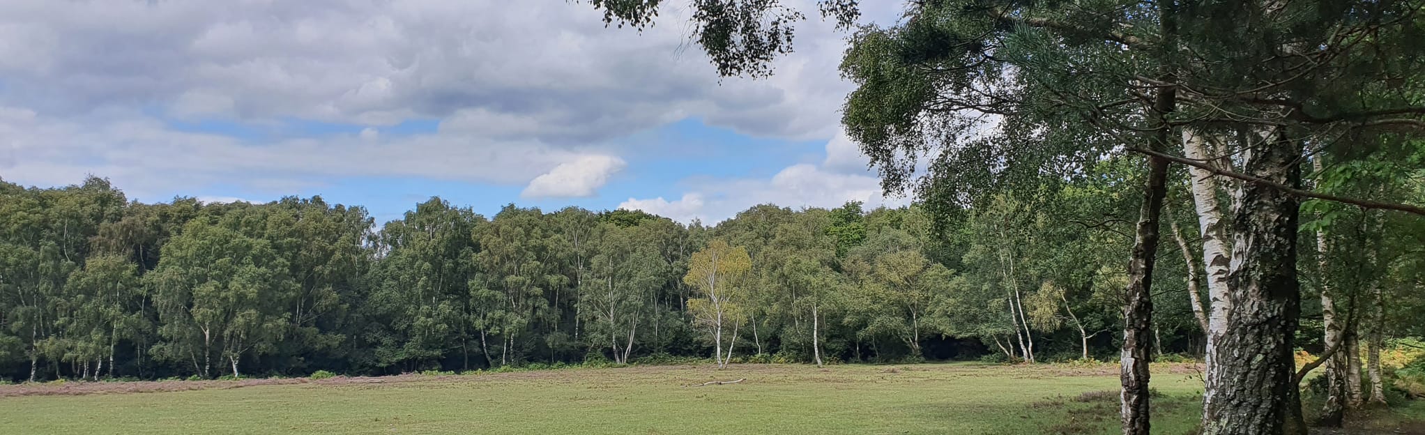 Dibden Inclosure and The Noads Circular: 15 Fotos - Hampshire, England ...