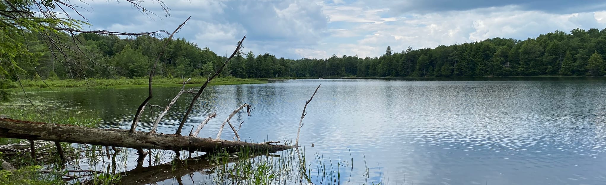 Third Lake Trail: 22 Reviews, Map - New York | AllTrails