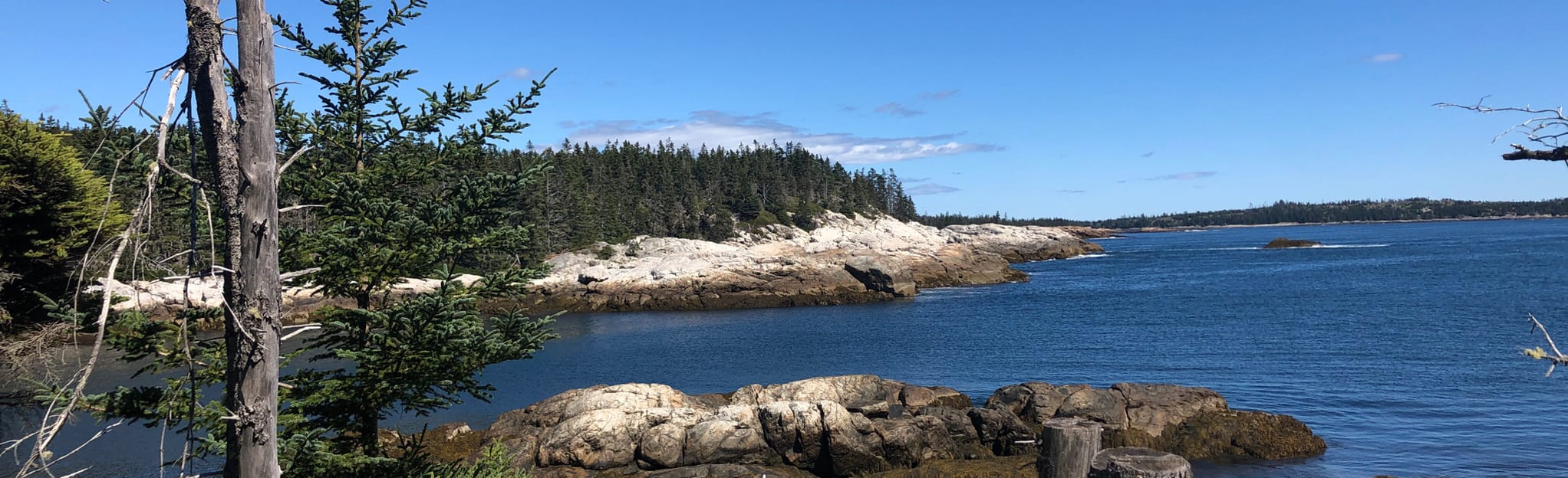 Western Head via Goat Trail , Maine - 8 Reviews, Map | AllTrails