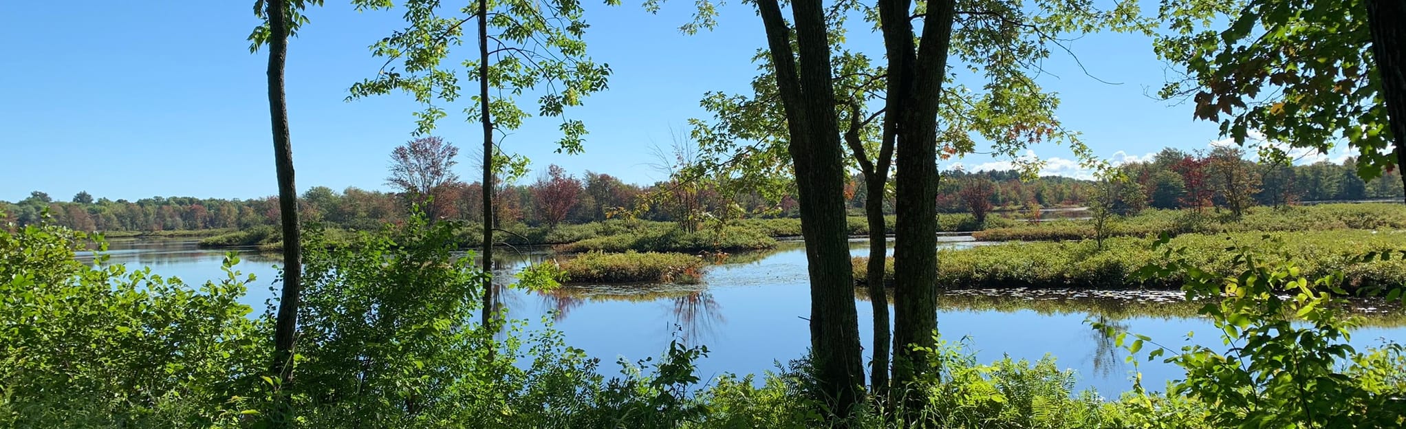 Munter Trail: 216 Reviews, Map - New York | AllTrails