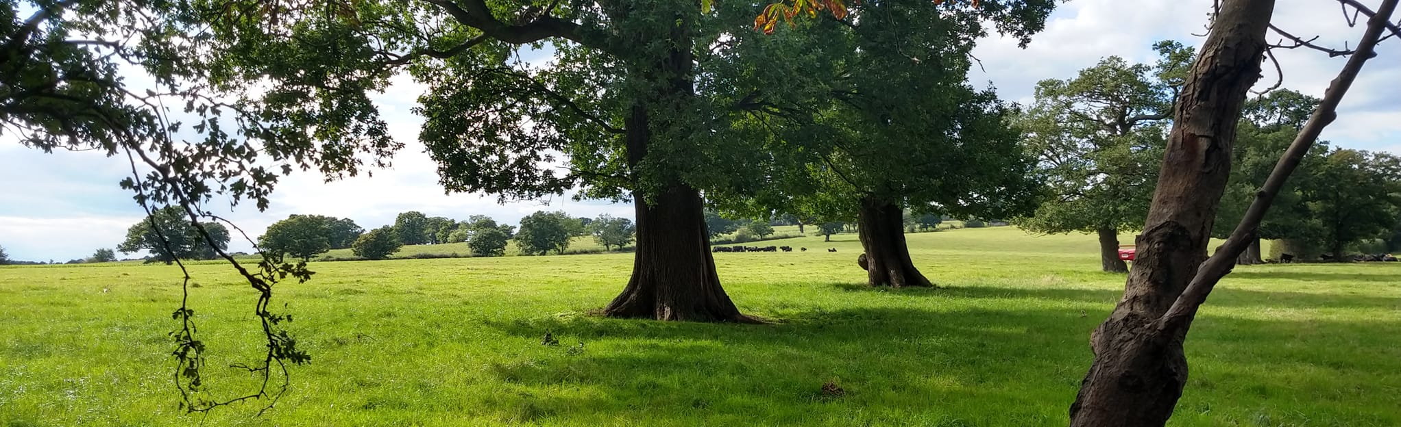 Folly Brook Circular, London, England - 25 Reviews, Map | AllTrails