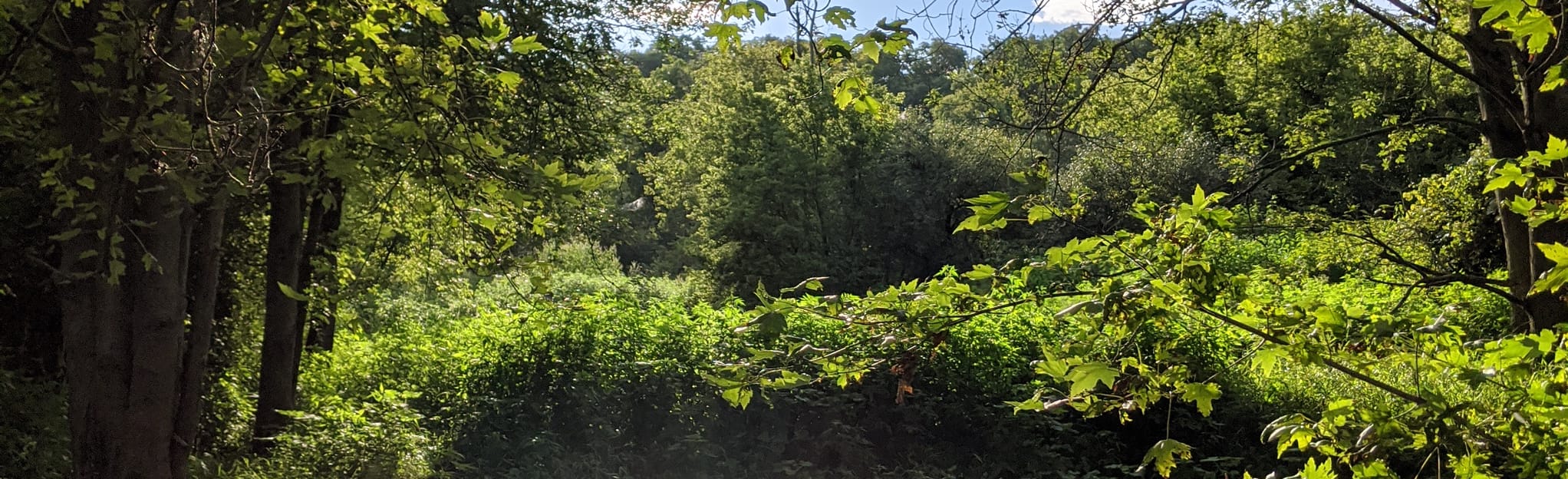 Standard Tube Lions Trail, Ontario, Canada - 199 Reviews, Map | AllTrails