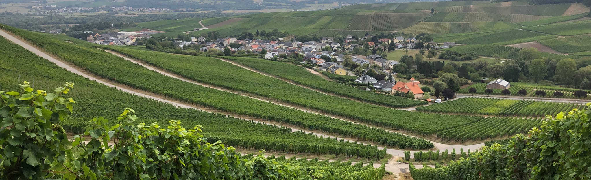 Rundwanderweg Wellenstein, Remich, Luxembourg - 43 Reviews, Map | AllTrails