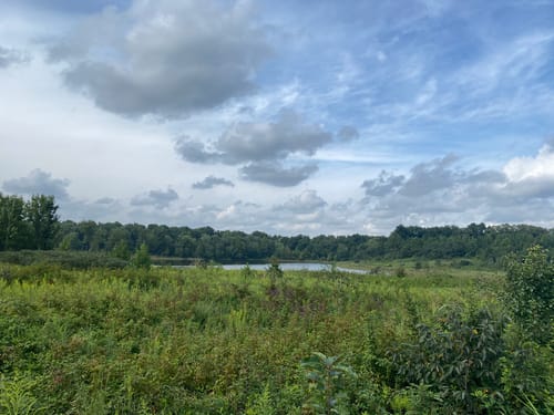 Best Hikes and Trails in Patoka River National Wildlife Refuge | AllTrails