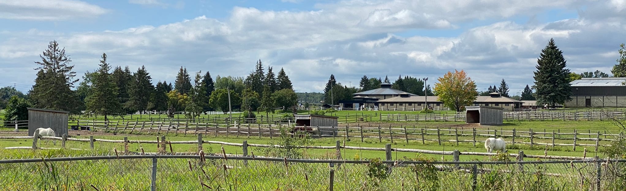 Greenbelt Pathway - Watts Creek Pathway: 32 foto's - Ontario, Canada ...