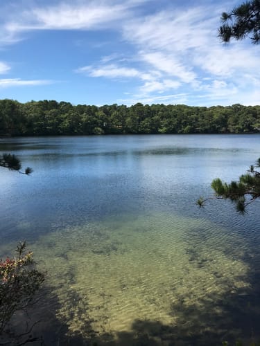 Best Hikes and Trails in Flax Pond Conservation Land | AllTrails