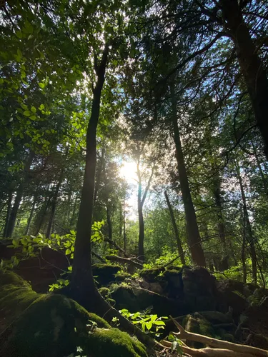 10 Best Trails and Hikes in Halton Hills | AllTrails