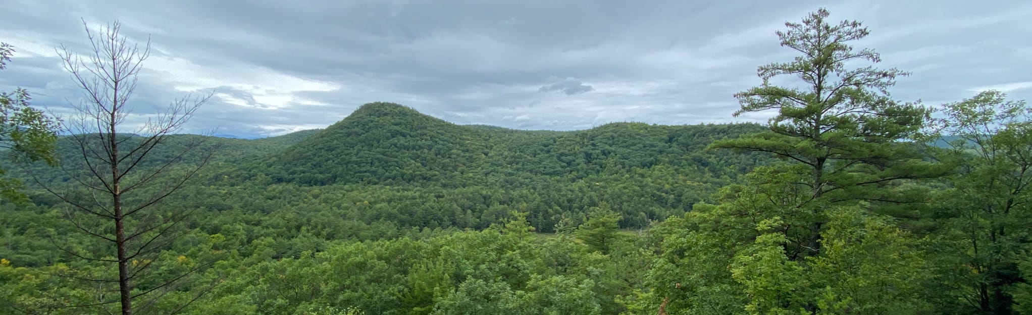 Godwin Preserve Red and Yellow Trail, New York - 43 Reviews, Map ...