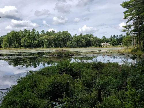 Best Forest Trails in Boxford State Forest | AllTrails