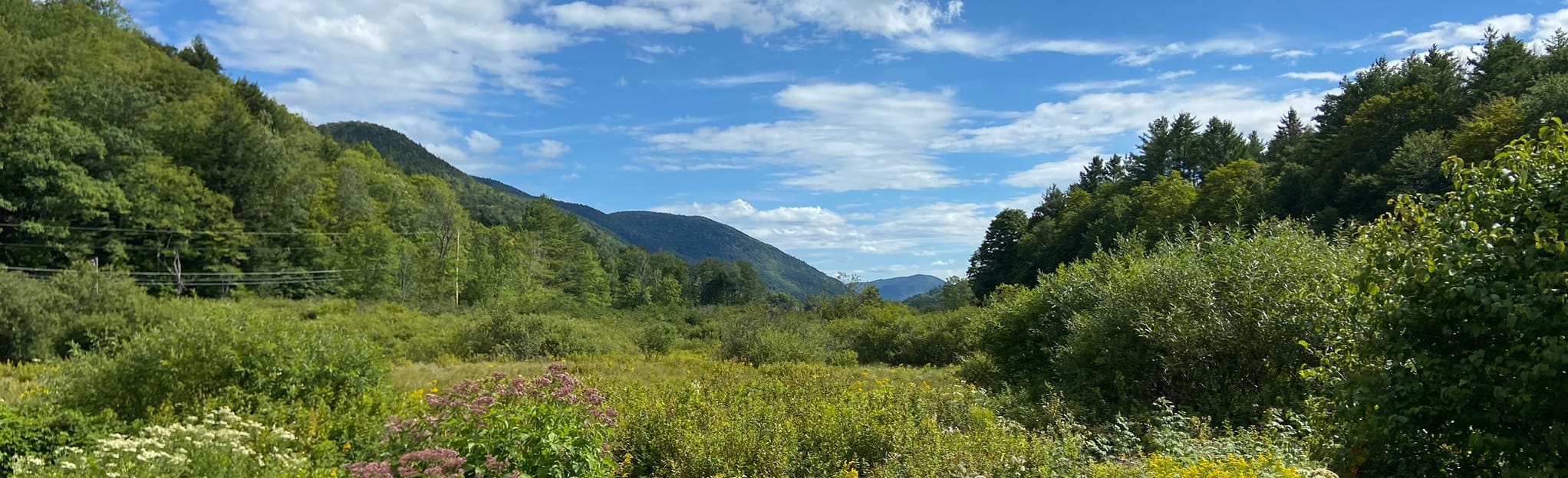 Appalachian Trail: Kent Pond to Green Gate Road: 836 foto - Vermont ...
