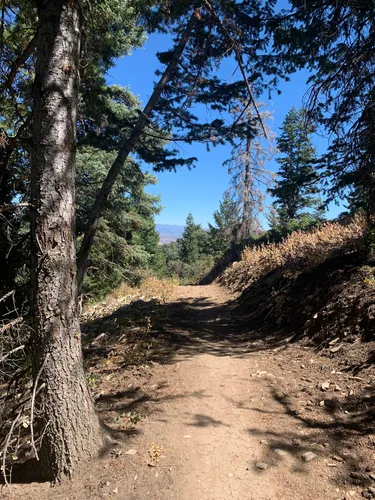 Best Hikes and Trails in Summit Park Open Space | AllTrails