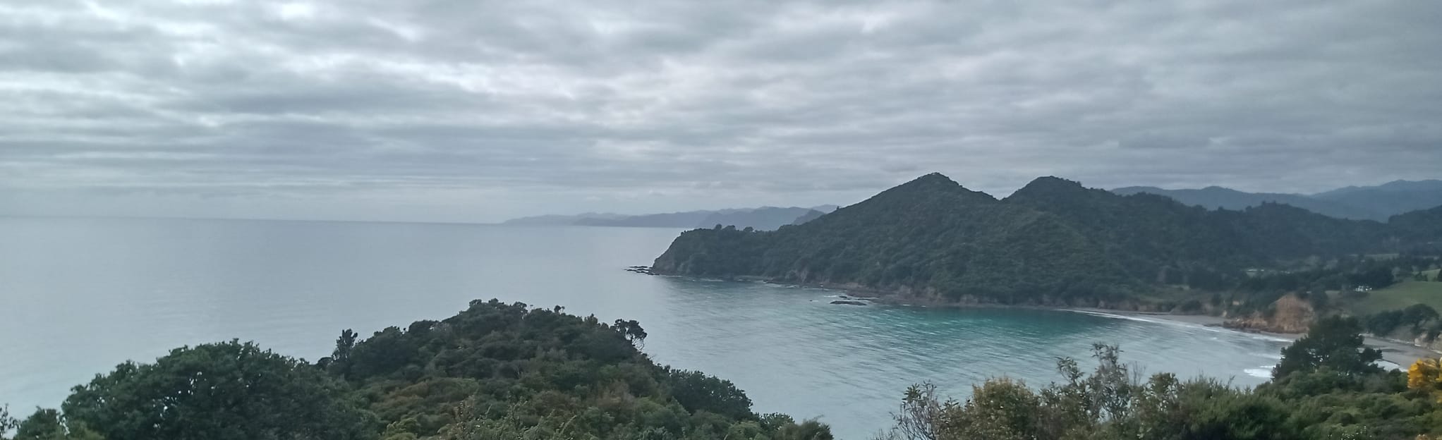 Tautarangi Coastal Walkway, Bay of Plenty, New Zealand - 4 Reviews, Map ...