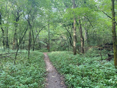 2023 Best trails in Bennett Spring State Park | AllTrails