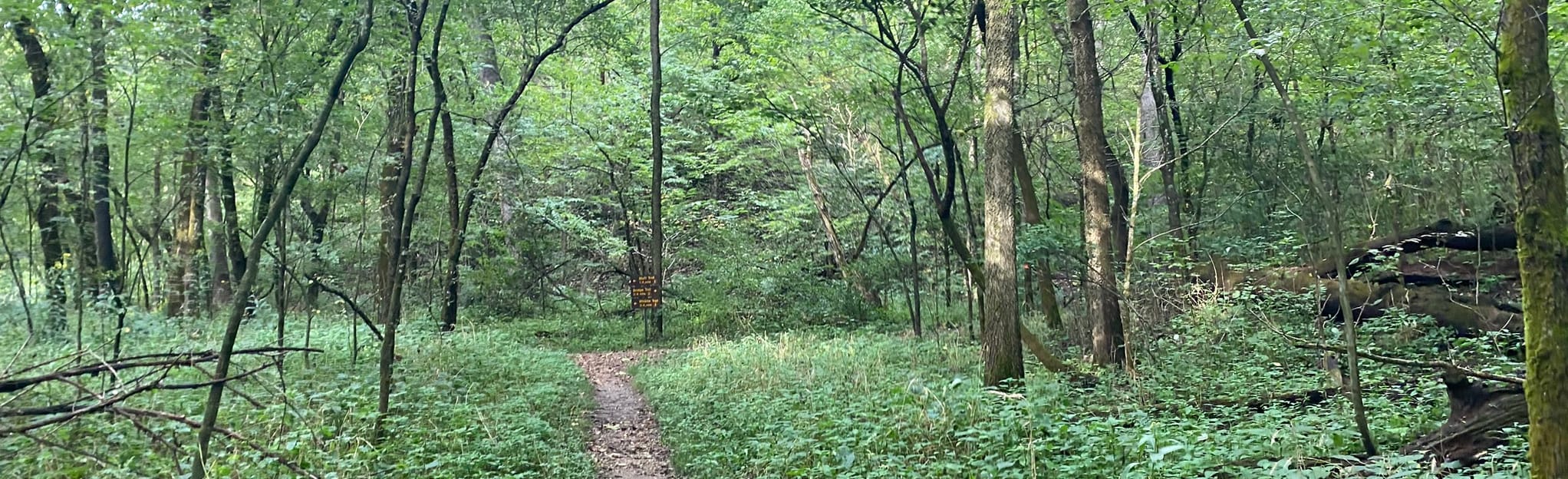 Whistle Trail, Missouri - 133 Reviews, Map | AllTrails