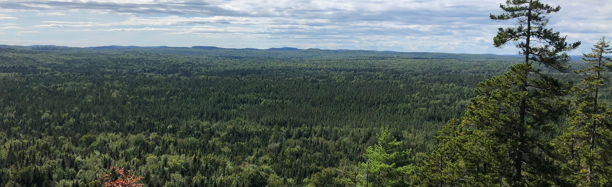 Dawson Mountain Lookout: 15 Reviews, Map - New Brunswick, Canada ...