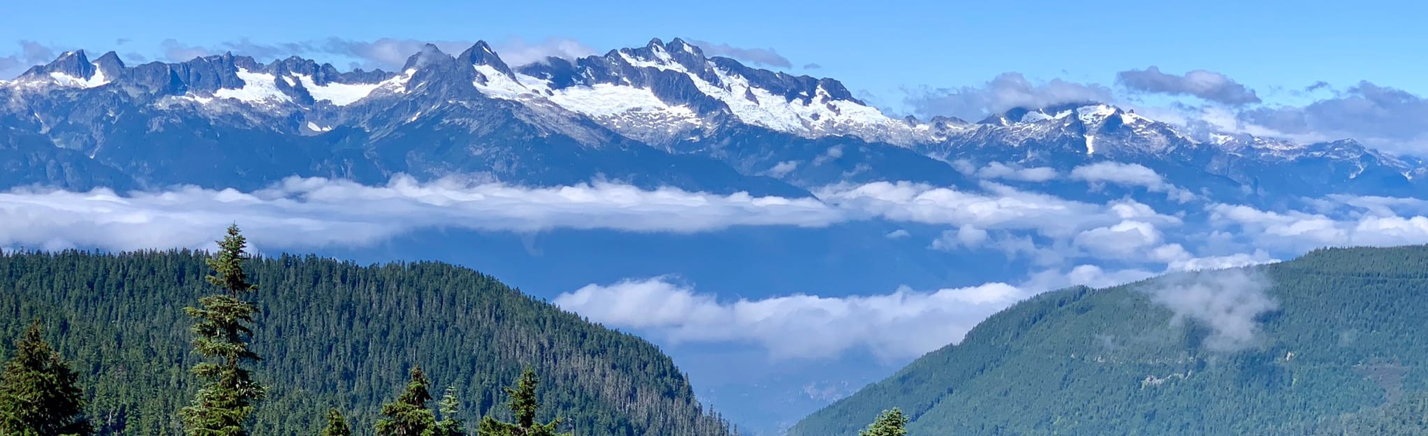 Diamond Head, British Columbia, Canada - 35 Reviews, Map | AllTrails