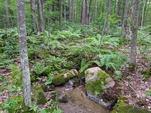 Best Hikes and Trails in Gaska Park | AllTrails