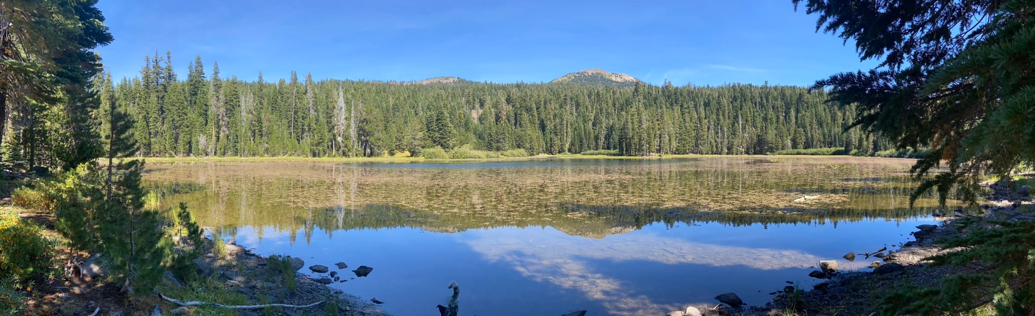 Heart Lake Trail, California - 53 Reviews, Map | AllTrails
