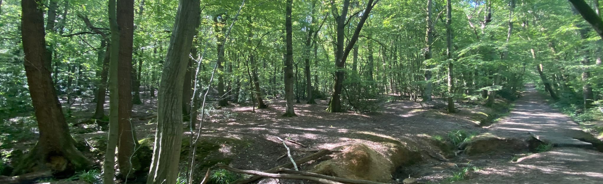 Wormley Wood Extended Circular: 19 Reviews, Map - Hertfordshire ...