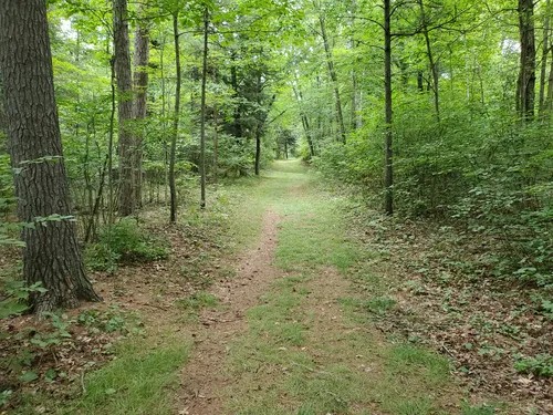 2023 Best Forest Trails in Two Rivers | AllTrails