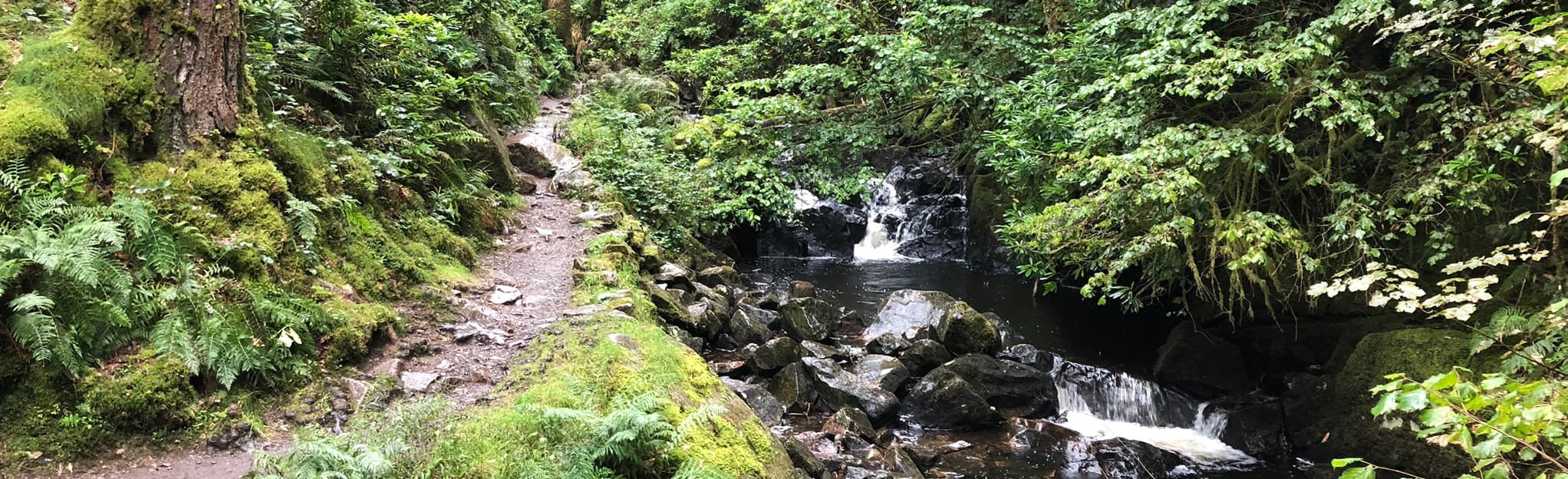 Eskdale Ramble and Dalegarth Waterfalls Circular, Cumbria, England ...