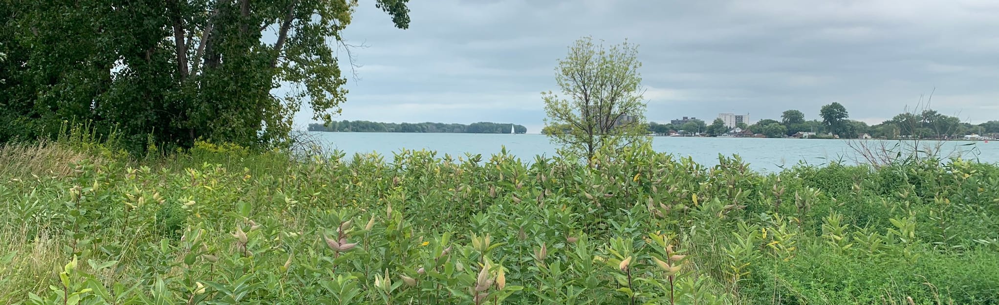 Belle Isle Lighthouse and Blue Heron Lagoon, Michigan - 275 Reviews ...