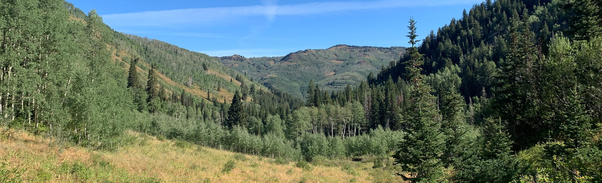 Silver Mountain Mine via Silver Fork Trail: 147 Reviews, Map - Utah ...