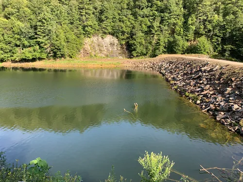 2023 Best 10 Trails and Hikes in Topton | AllTrails