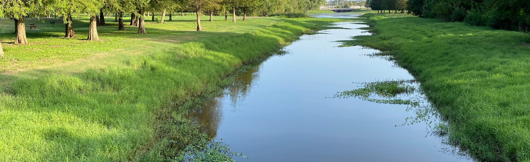 Bayou Segnette State Park Hiking Trail: 64 Reviews, Map - Louisiana ...