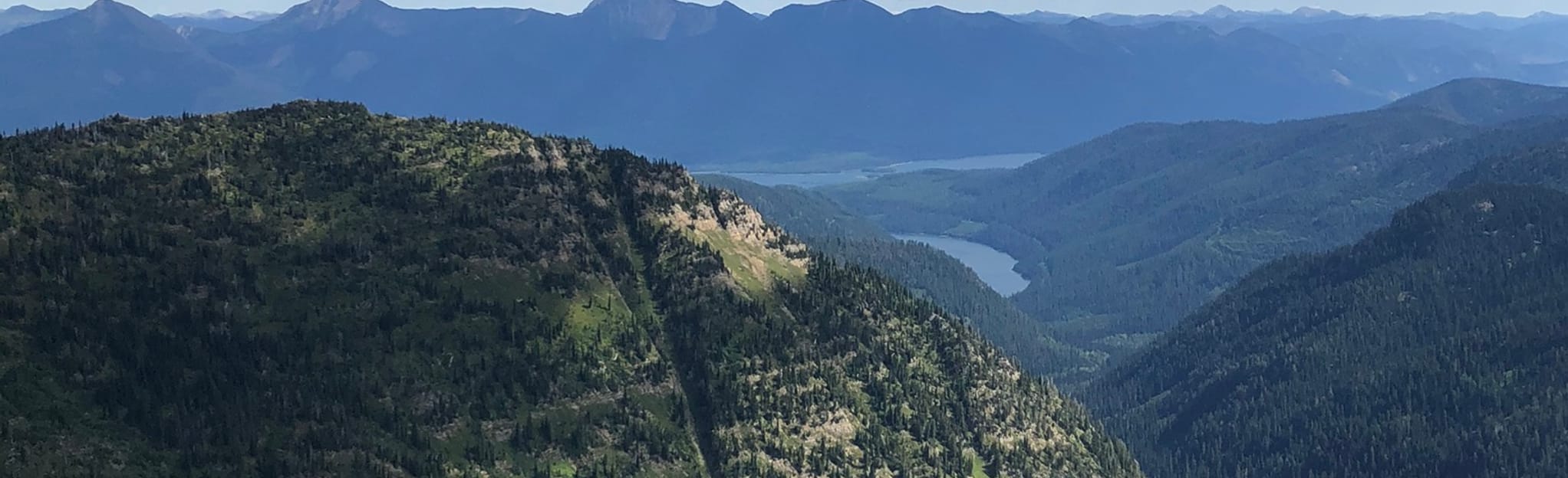 Mount Aeneas Summit Trail: 265 Reviews, Map - Montana | AllTrails