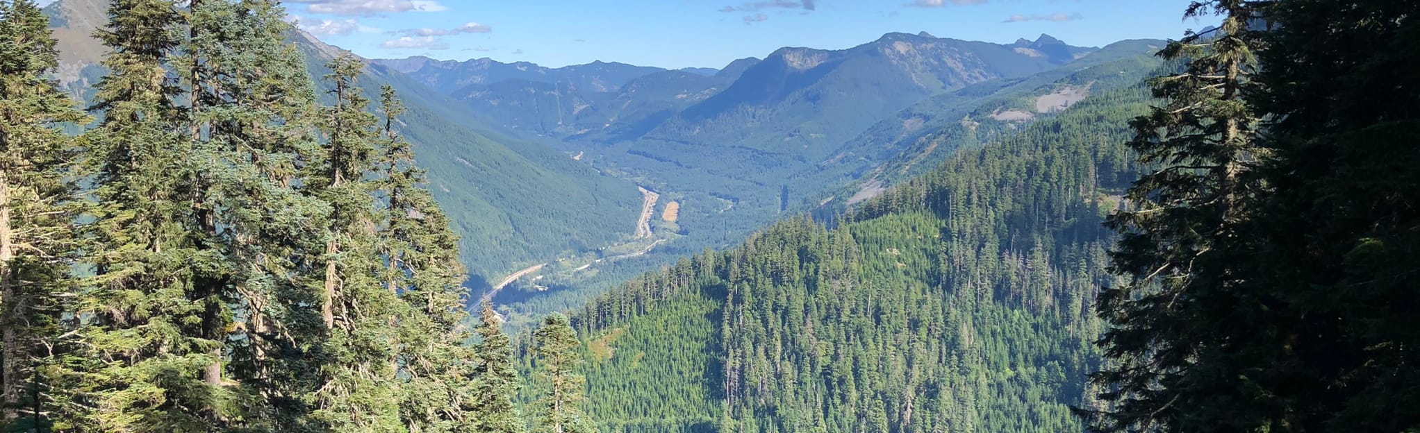 McClellan Butte Trail: 894 Reviews, Map - Washington | AllTrails