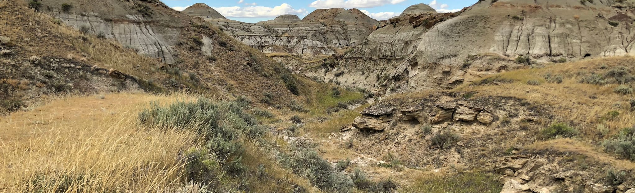 Coulee Viewpoint, Badlands, Fossil Hunters and Cottonwood Flats Trail ...