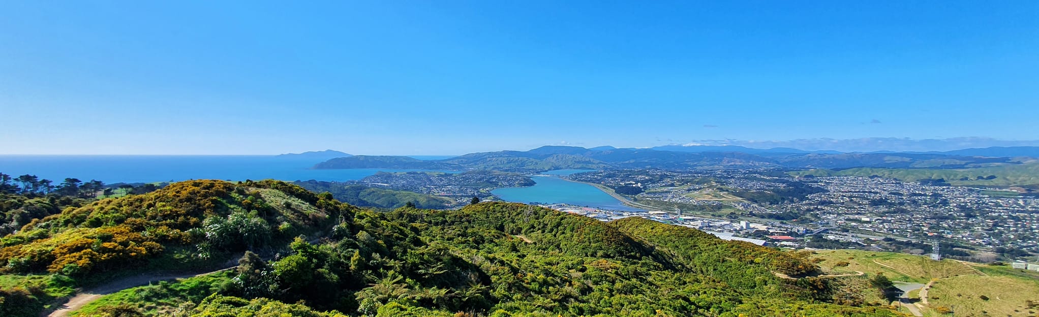 Colonial Knob Walk: 102 Reviews, Map - Wellington, New Zealand | AllTrails
