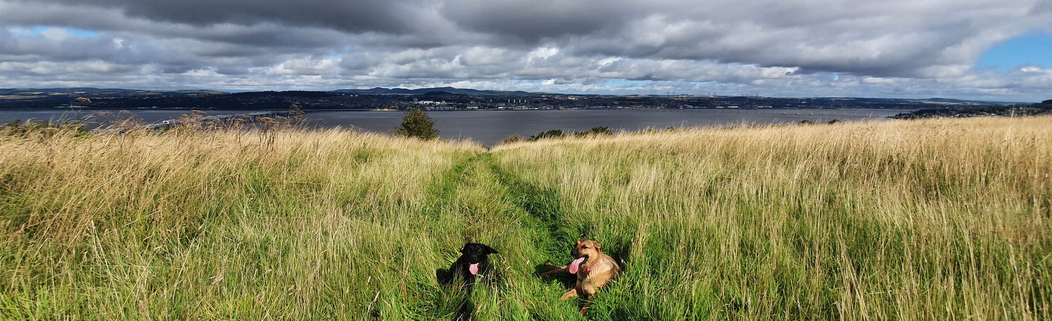 Wormit Circular, Fife, Scotland - 19 Reviews, Map | AllTrails