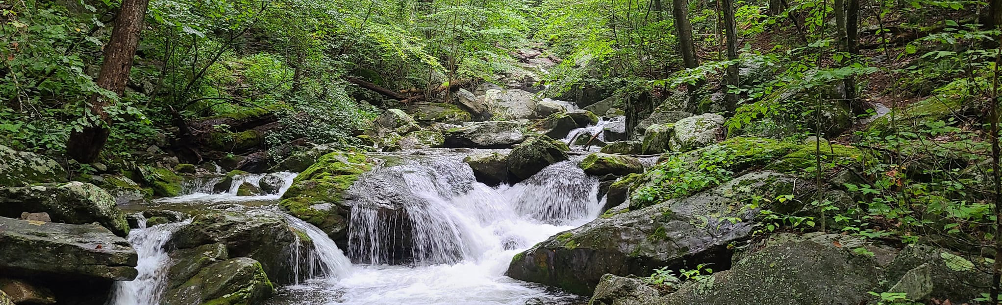 Slaughter Trail: 75 Reviews, Map - Virginia | AllTrails