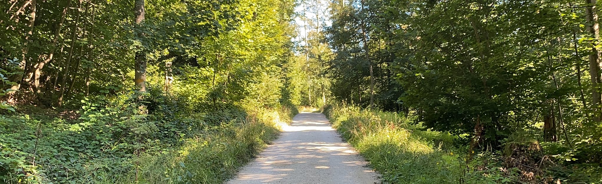 Pfannenstiel Weg : Forch -Meilen: 53 Reviews, Map - Zurich, Switzerland ...