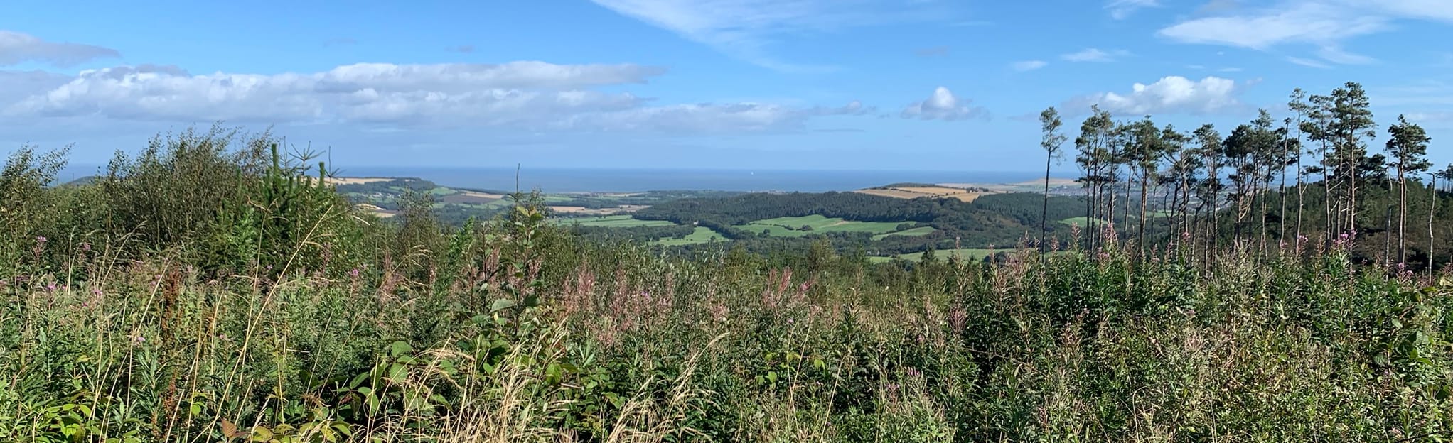 Kildale Moor from Commondale, North Yorkshire, England - 25 Reviews ...