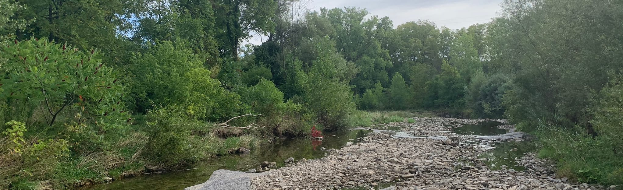 Red Hill Valley Recreational Trail: 420 Reviews, Map - Ontario, Canada ...