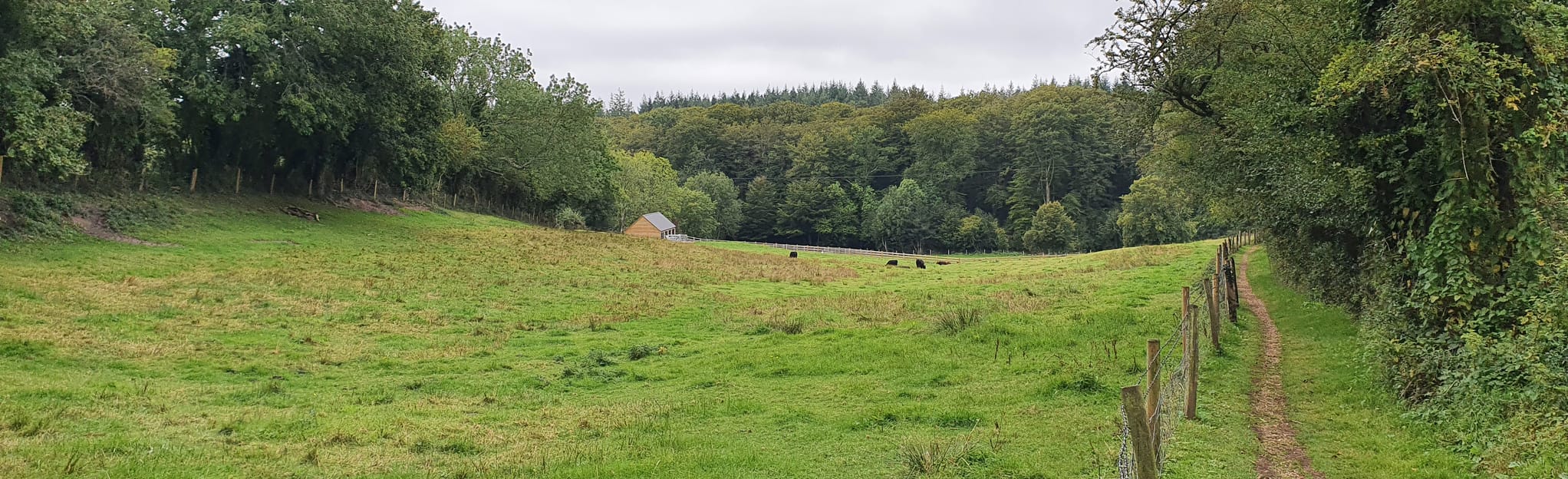 Minstead and The Grove Loop: 37 Reviews, Map - Hampshire, England ...