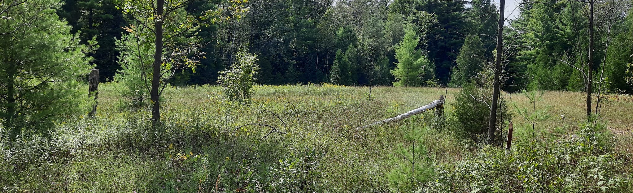 Beverly Swamp Trail, Ontario, Canada - 21 Reviews, Map | AllTrails