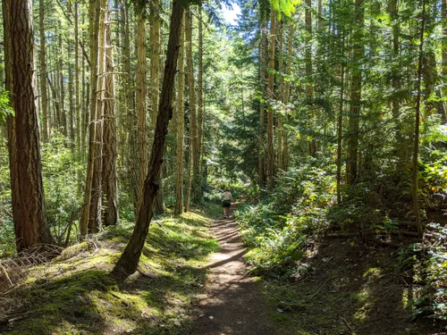 Best 10 Hiking Trails in Miller Peninsula State Park | AllTrails