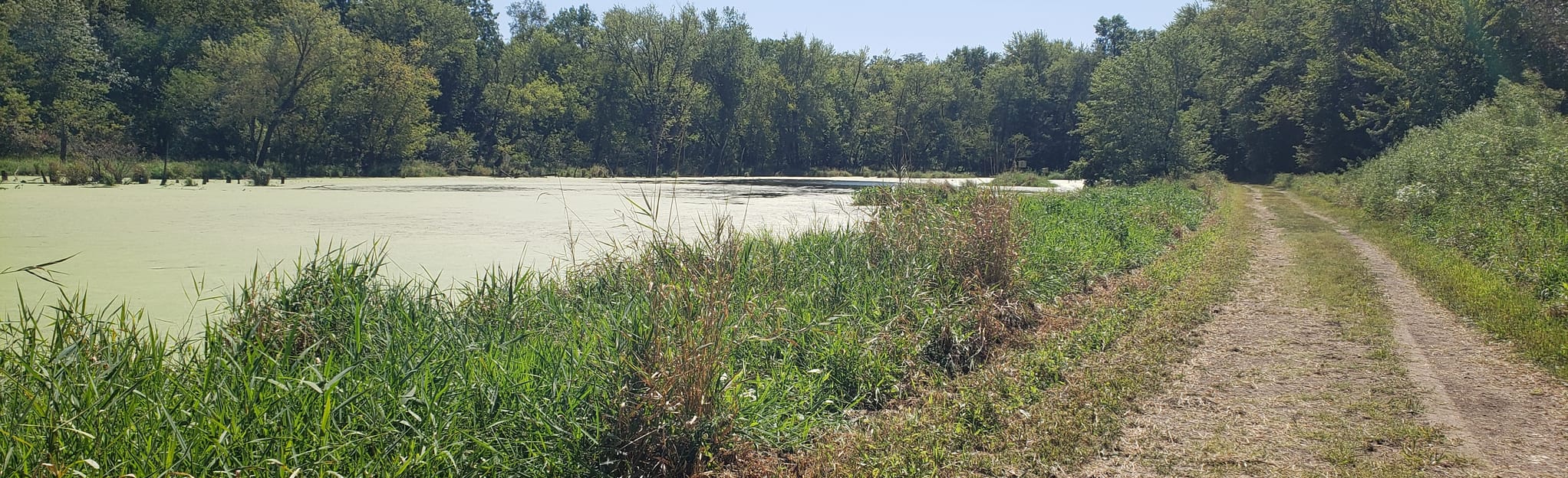 Pine and Prairie Trail, Iowa - 38 Reviews, Map | AllTrails