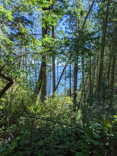 Best Hikes and Trails in Miller Peninsula State Park | AllTrails