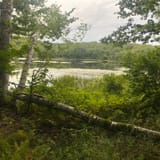 Berry Pond Trail, Massachusetts - 70 Reviews, Map | AllTrails