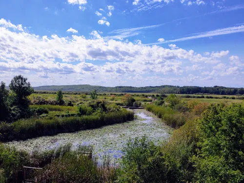 Best Hikes and Trails in Wye Marsh National Wildlife Area | AllTrails