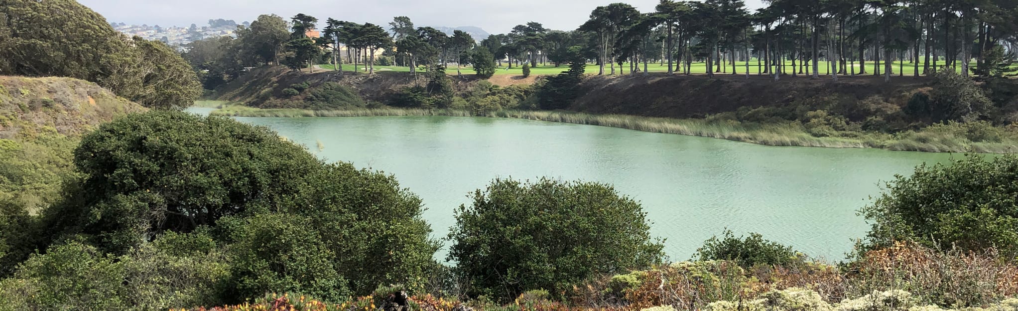 Lake Merced Loop: 463 foto's - Californië | Wandelen - AllTrails