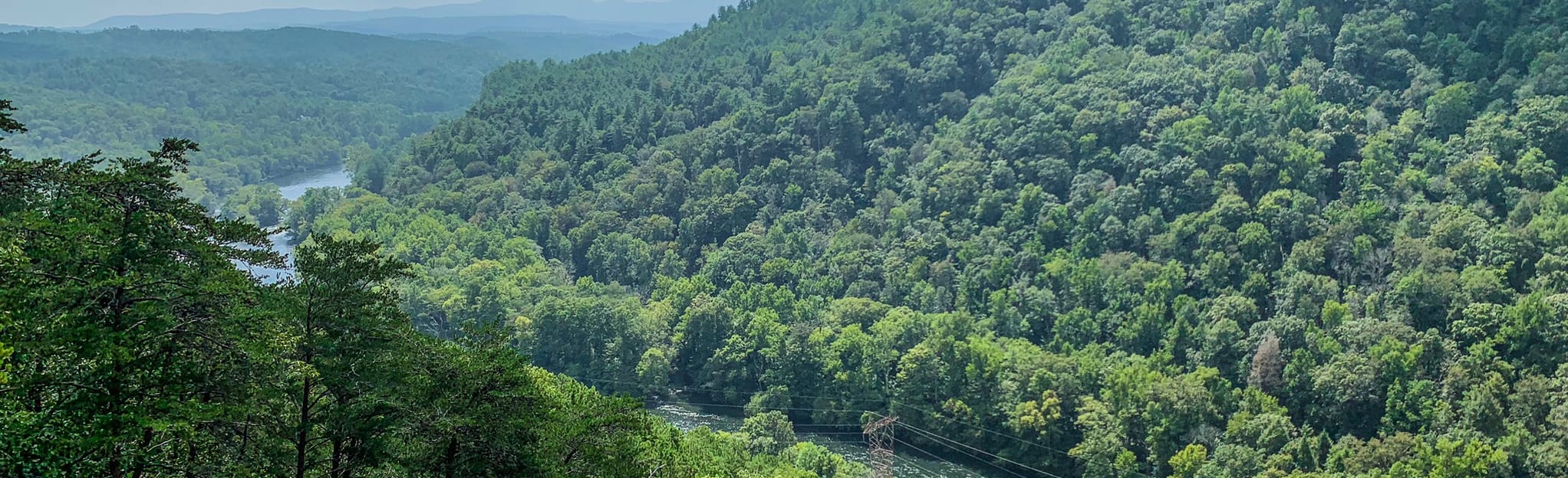 Chestnut Mountain Bluff: 312 Reviews, Map - Tennessee | AllTrails