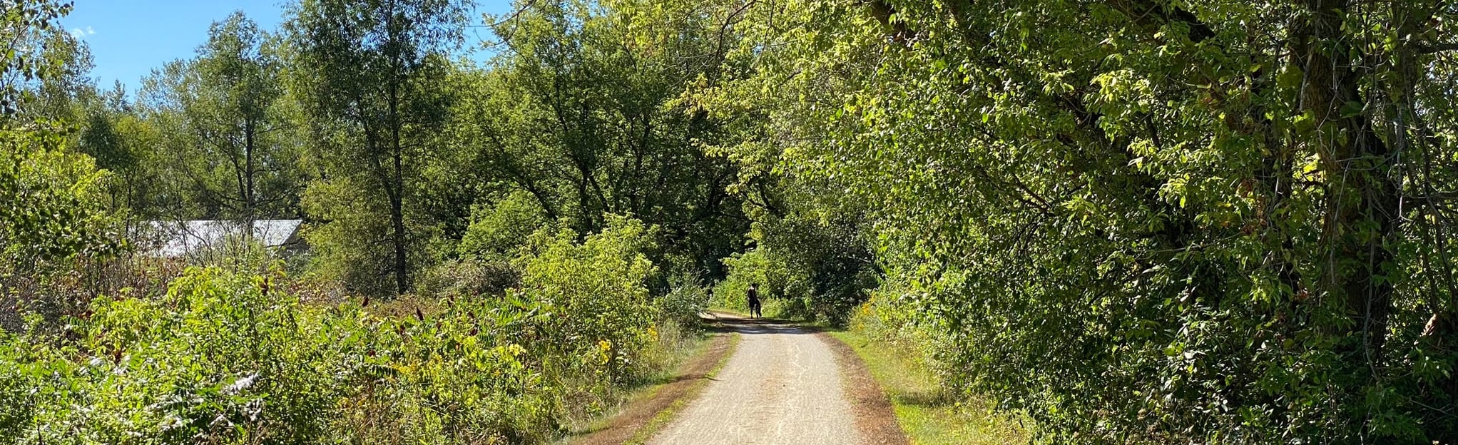 Glacial Drumlin State Trail: Cottage Grove to Lake Mills, Wisconsin ...