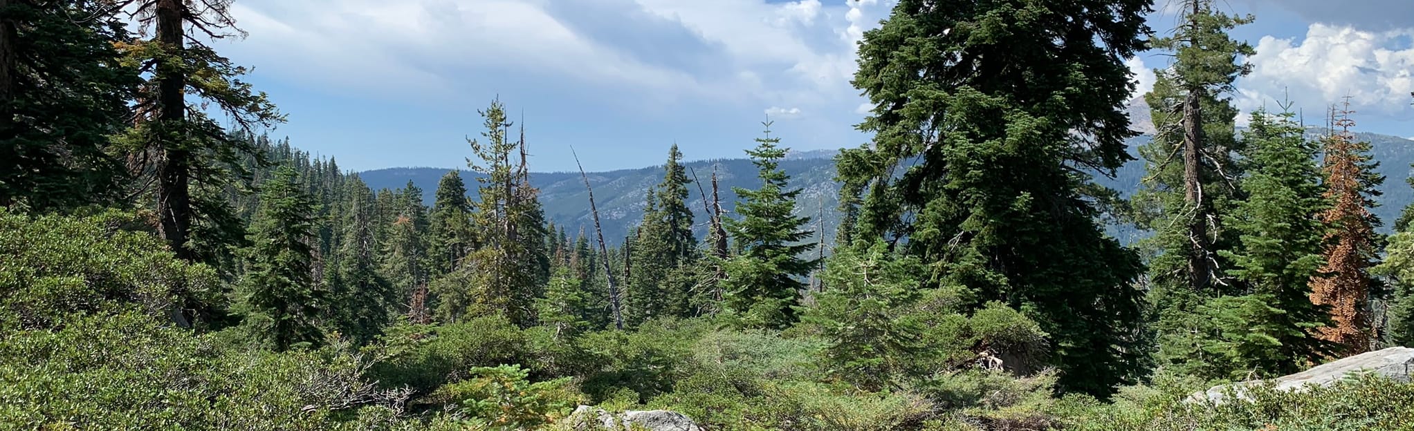 Cody Lake Trail, California - 123 Reviews, Map | AllTrails